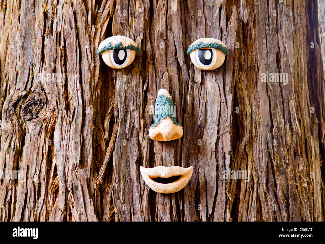 Tree trunk eyes nose mouth hi-res stock photography and images - Alamy