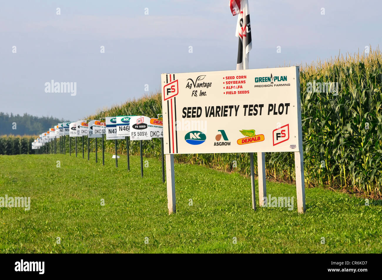 Iowa seed variety test farm field for seed corn soybean alfalfa and ...