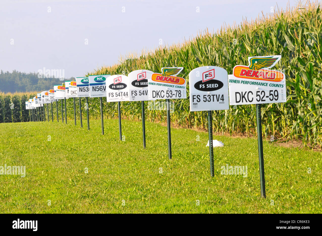 Iowa seed variety test farm field for seed corn soybean alfalfa and ...