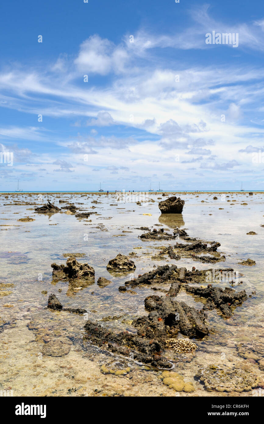 The remains of a ship wrecked on the coral of North Minerva Reef, an ...