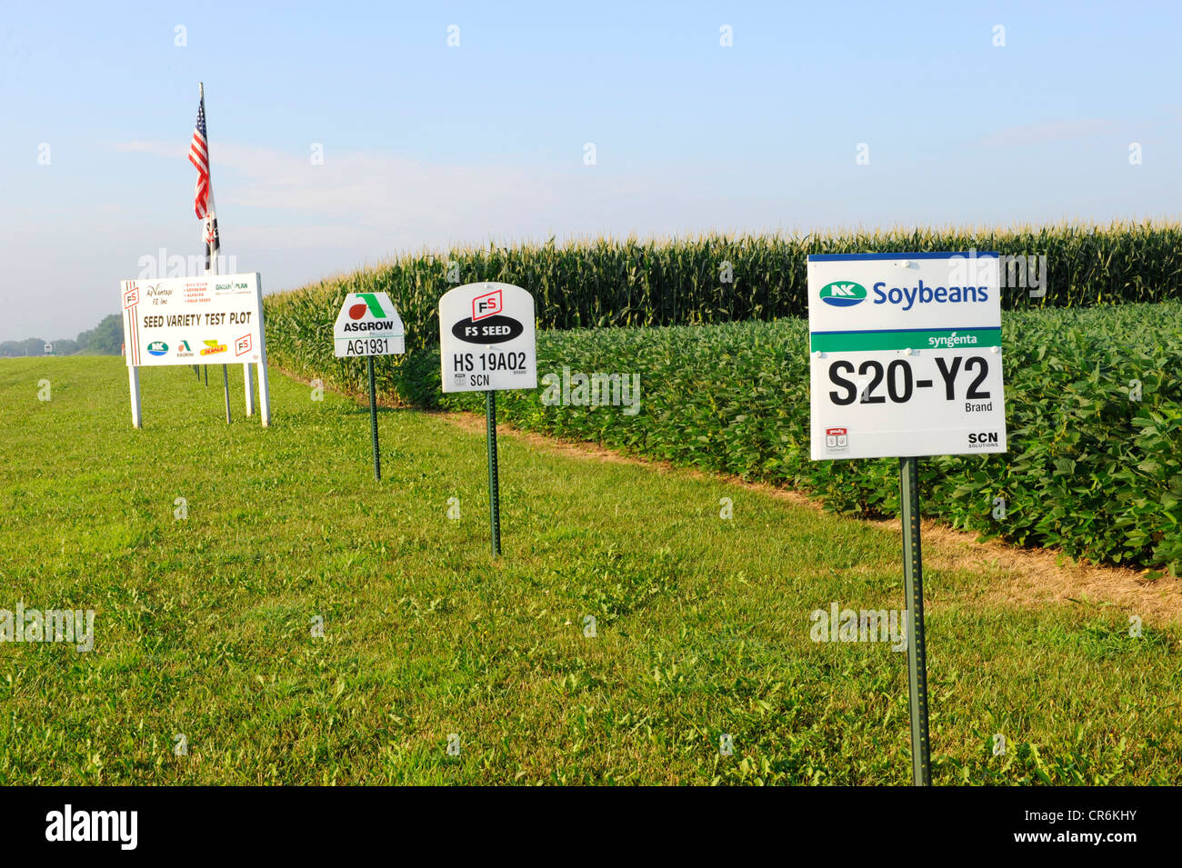 Iowa seed variety test farm field for seed corn soybean alfalfa and ...