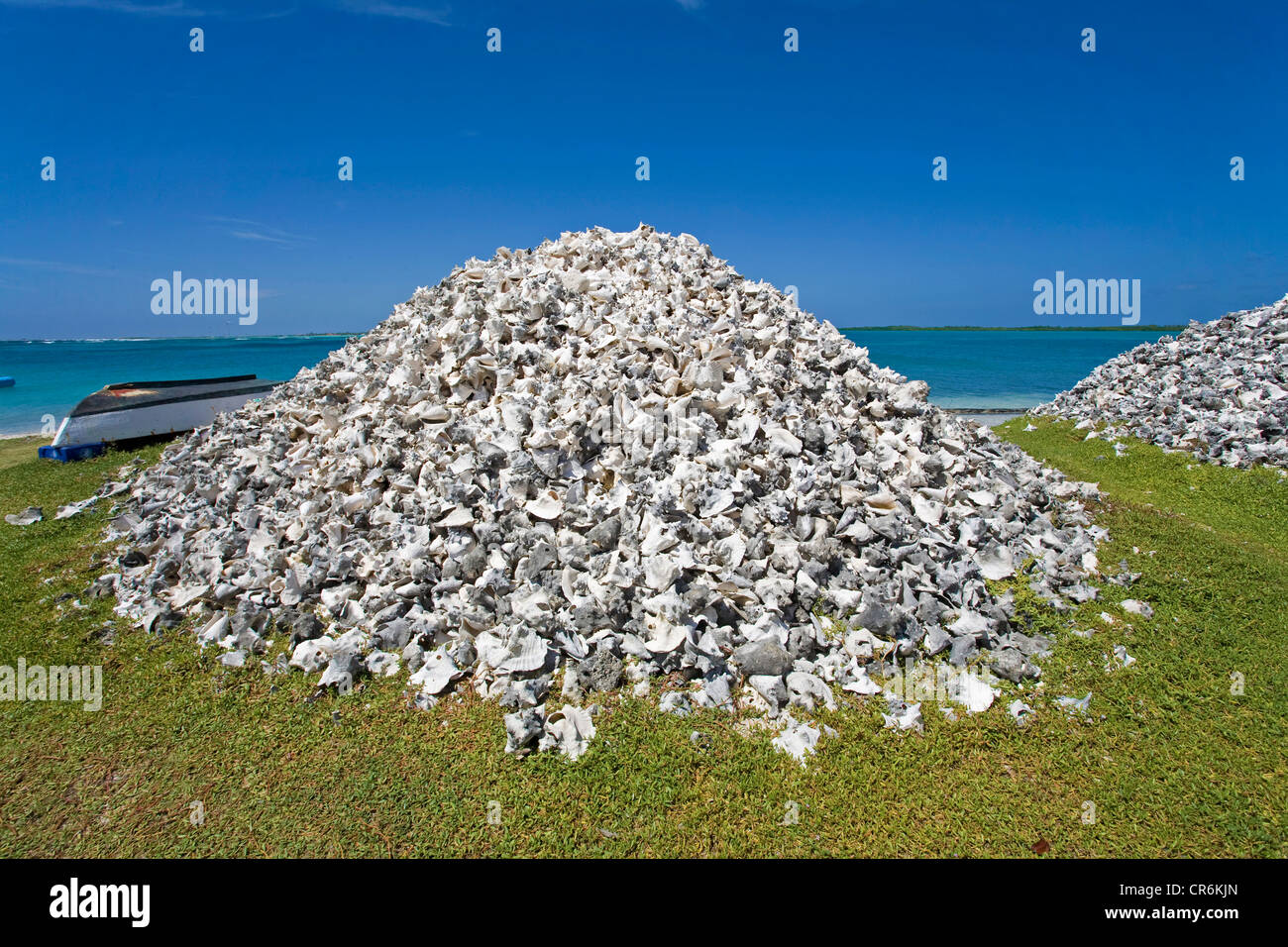 Pile Of Sea Shells High Resolution Stock Photography and Images - Alamy