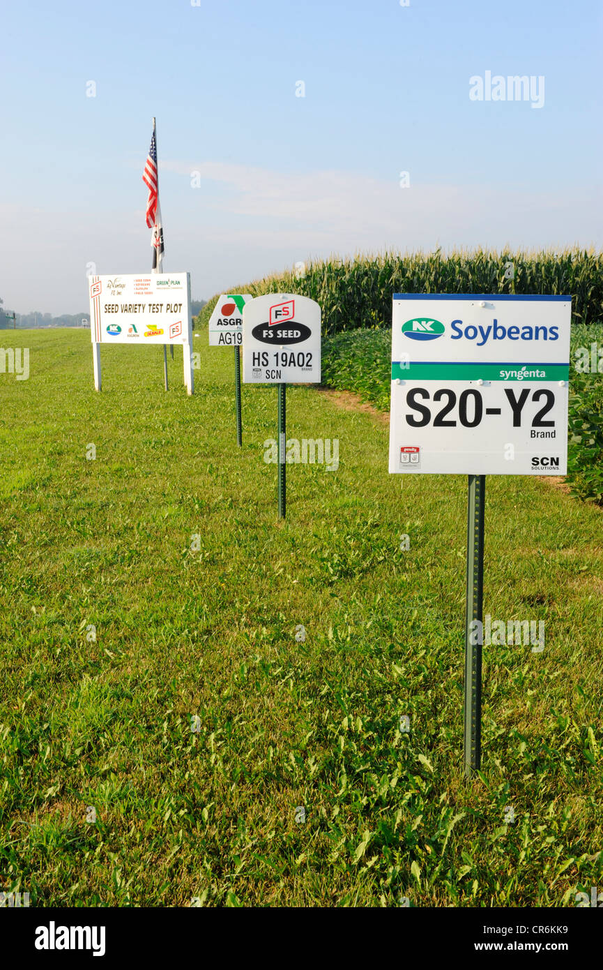 Iowa seed variety test farm field for seed corn soybean alfalfa and ...