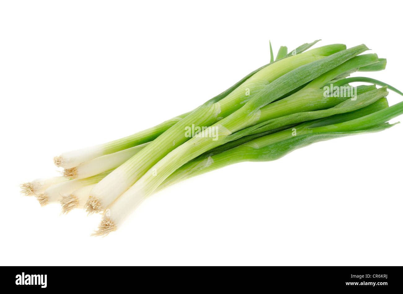 Spring Onions Stock Photos & Spring Onions Stock Images - Alamy