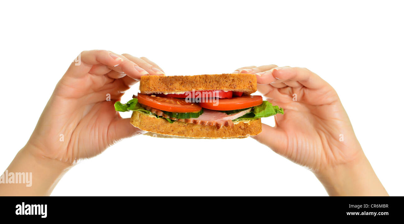 Woman's hands holding a sandwich, isolated on white Stock Photo - Alamy