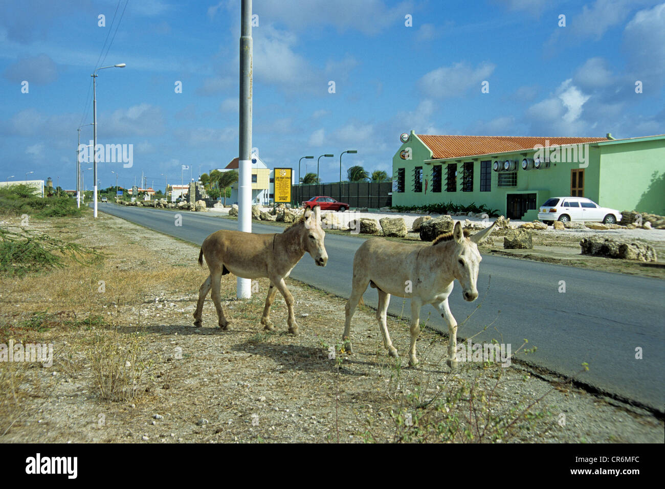 Bonaire Caribbean Island High Resolution Stock Photography and Images ...