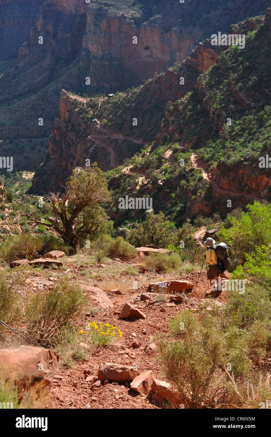 Bright Angel trail, Grand Canyon, Arizona, USA Stock Photo - Alamy
