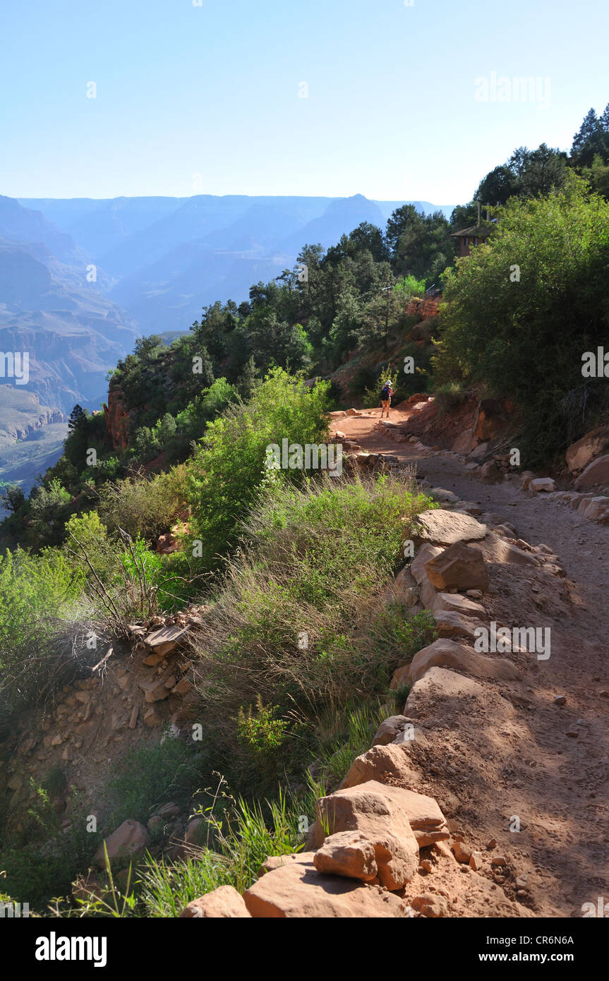 Bright Angel trail, Grand Canyon, Arizona, USA Stock Photo - Alamy