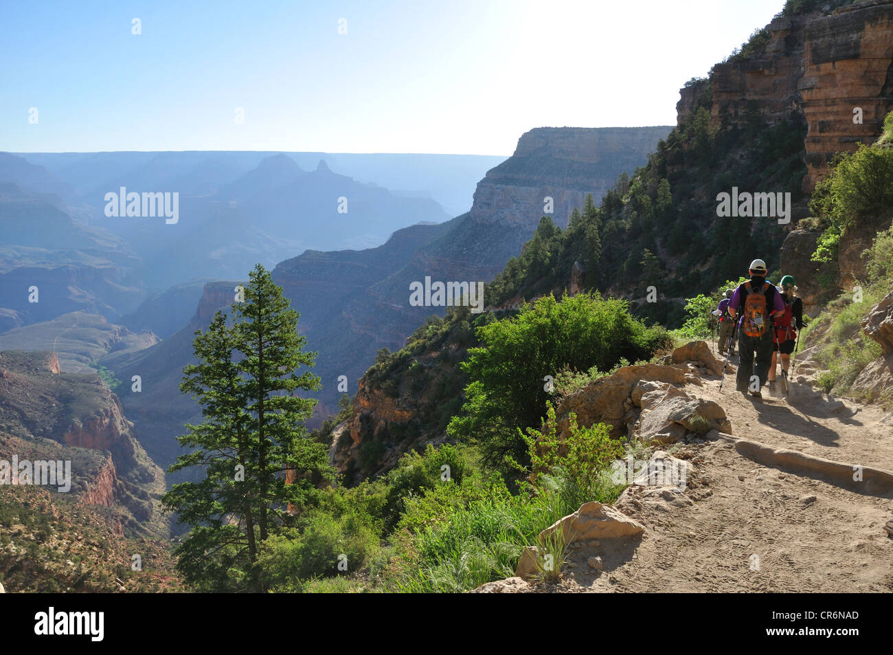 Bright Angel trail, Grand Canyon, Arizona, USA Stock Photo - Alamy