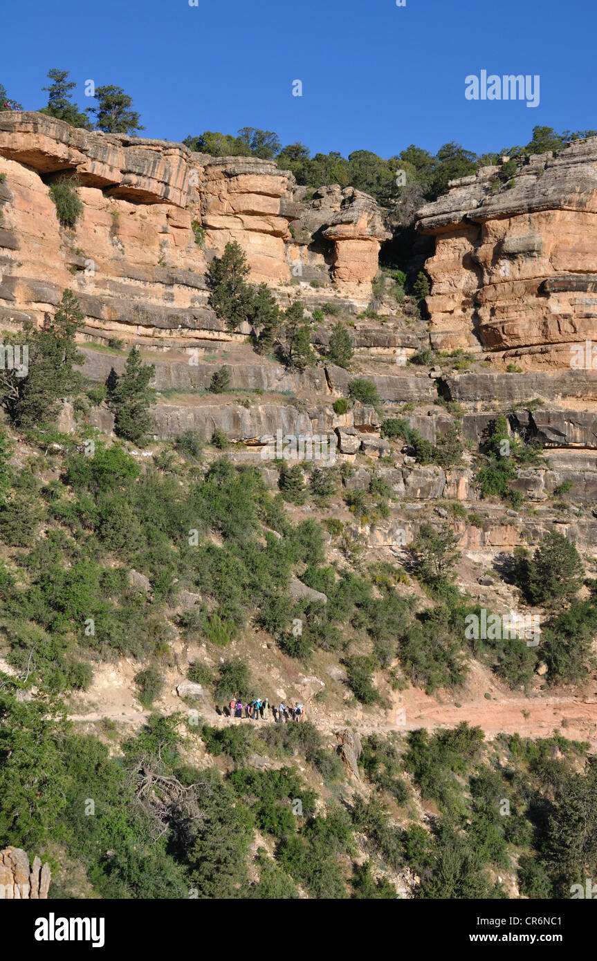 Bright Angel trail, Grand Canyon, Arizona, USA Stock Photo - Alamy
