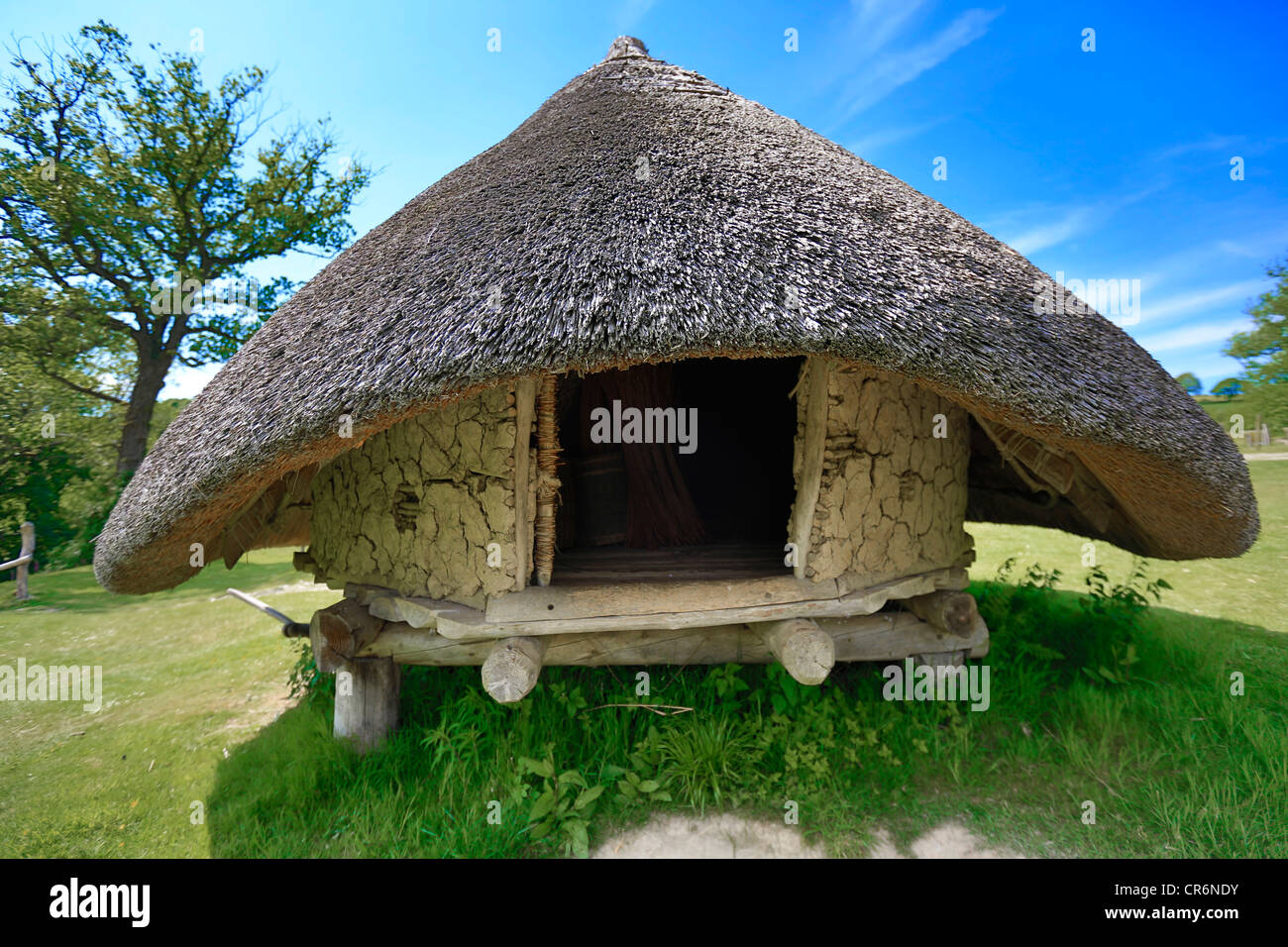 Granary Roundhouses reconstruction at Castell Henllys Iron Age hillfort ...