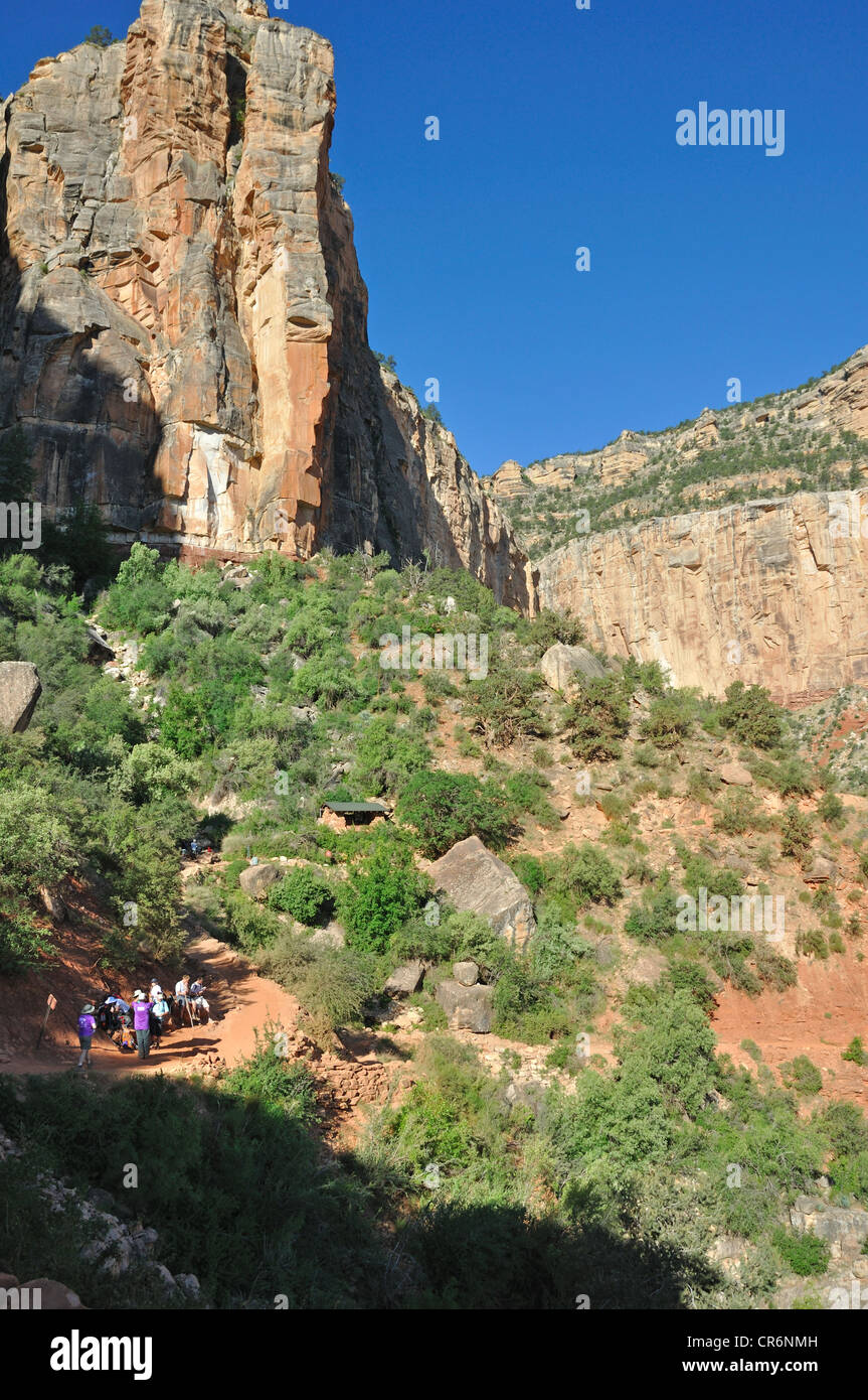 Bright Angel trail, Grand Canyon, Arizona, USA Stock Photo - Alamy