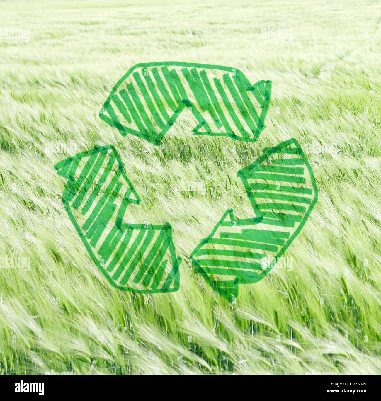 Recycle square hi-res stock photography and images - Alamy