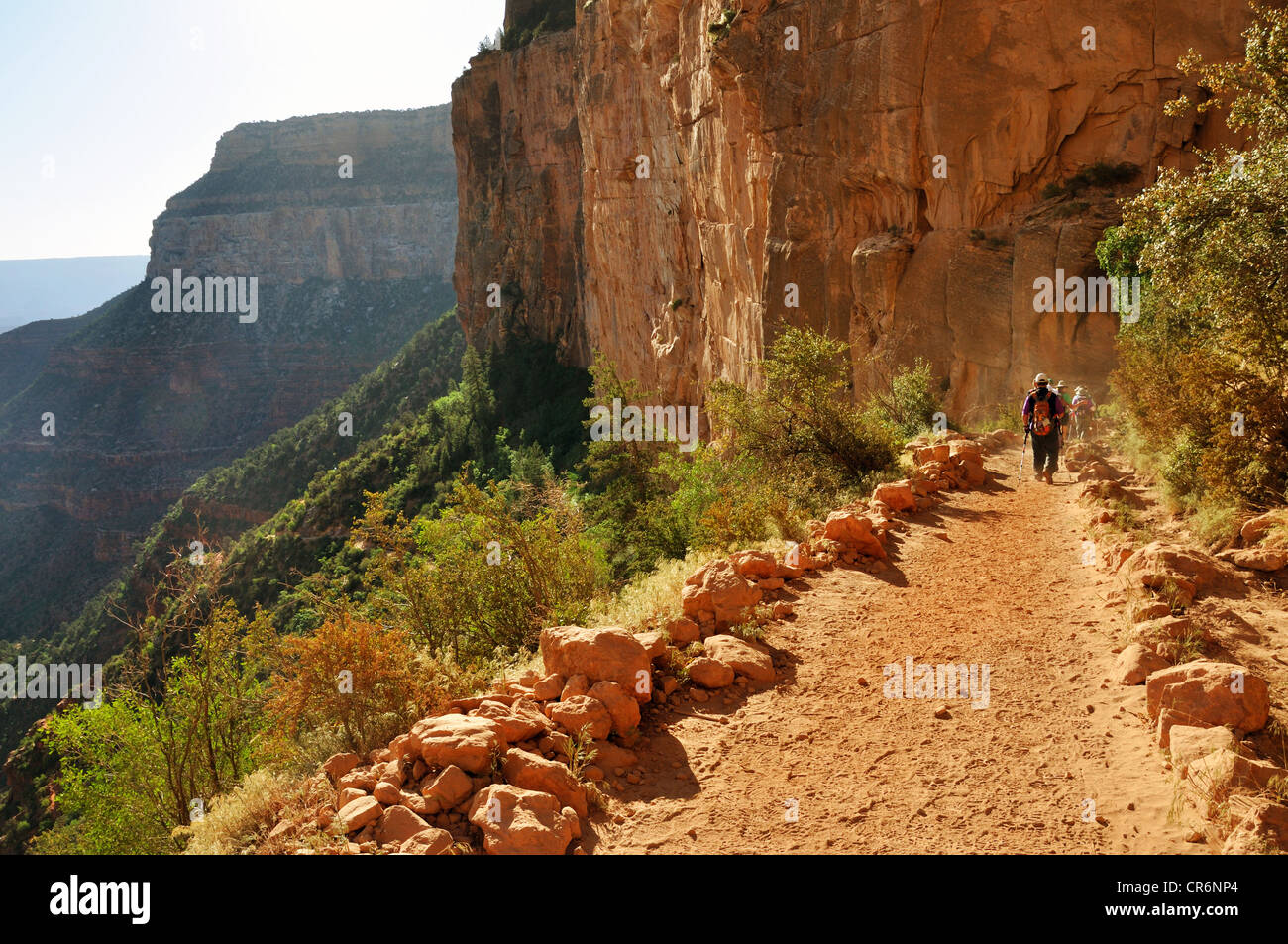 Bright Angel trail, Grand Canyon, Arizona, USA Stock Photo - Alamy