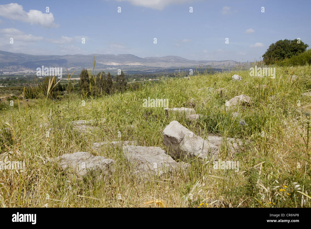 Architectural blocks of limestone at the Omrit archaeological site ...