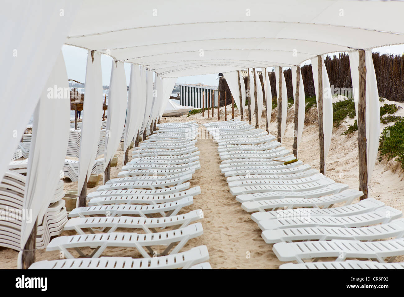 Lot of white empty plastic sunbeds in sandy beach under big parasol ...