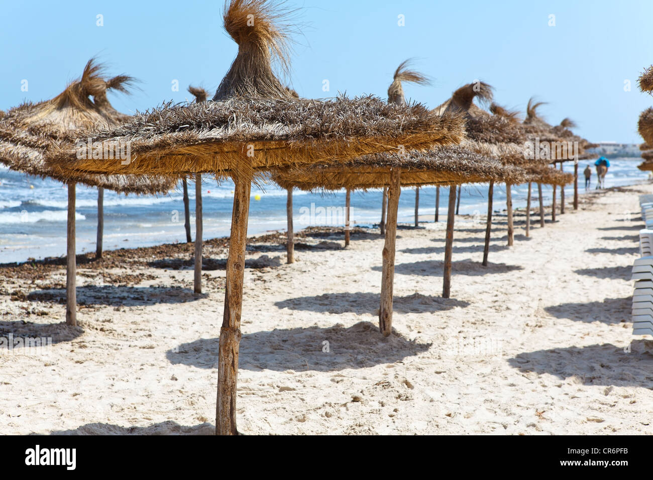 Parasols on the sandy beach of Mediterranean sea Tunisia, Africa Stock ...