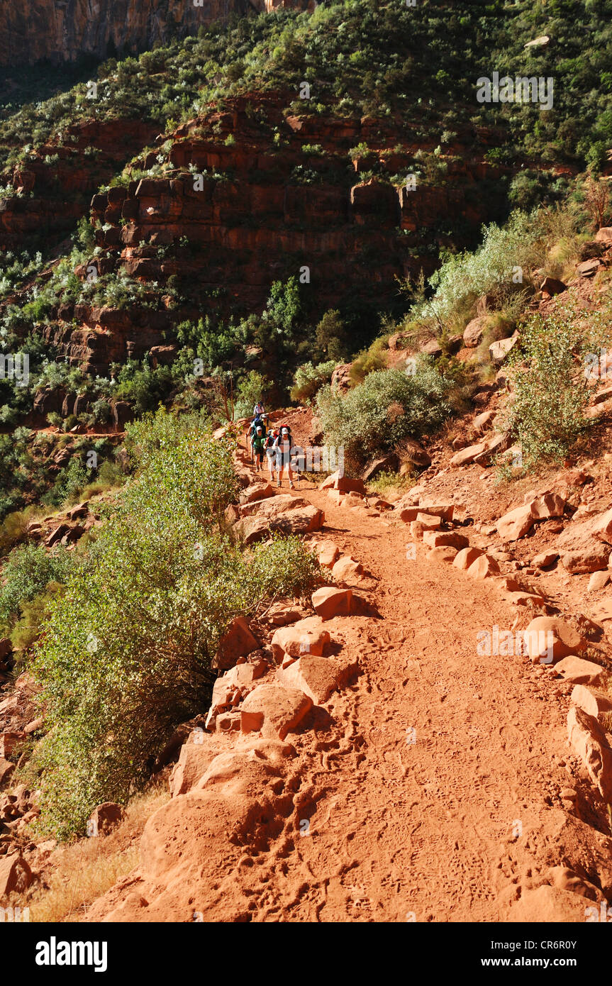 Bright Angel trail, Grand Canyon, Arizona, USA Stock Photo - Alamy