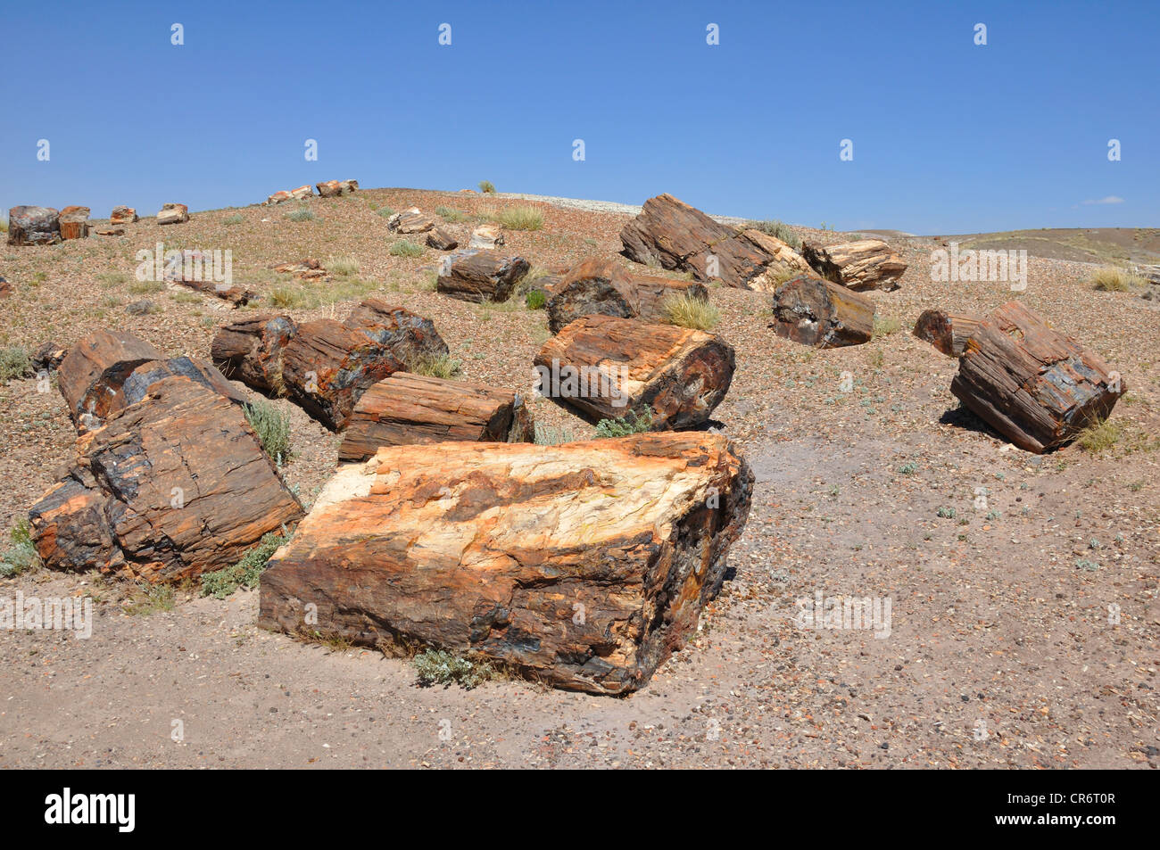 Petrified Forest National Park, Arizona, USA Stock Photo - Alamy