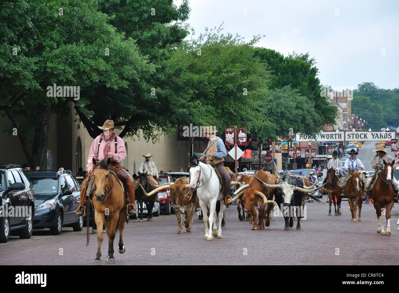 Cattle drive cowboys stockyards in hi-res stock photography and images ...