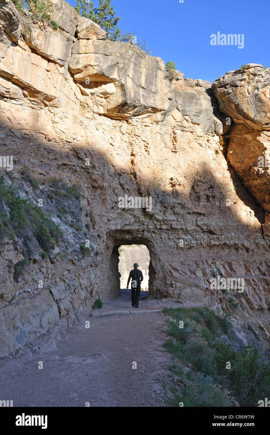 Bright Angel trail, Grand Canyon, Arizona, USA Stock Photo - Alamy