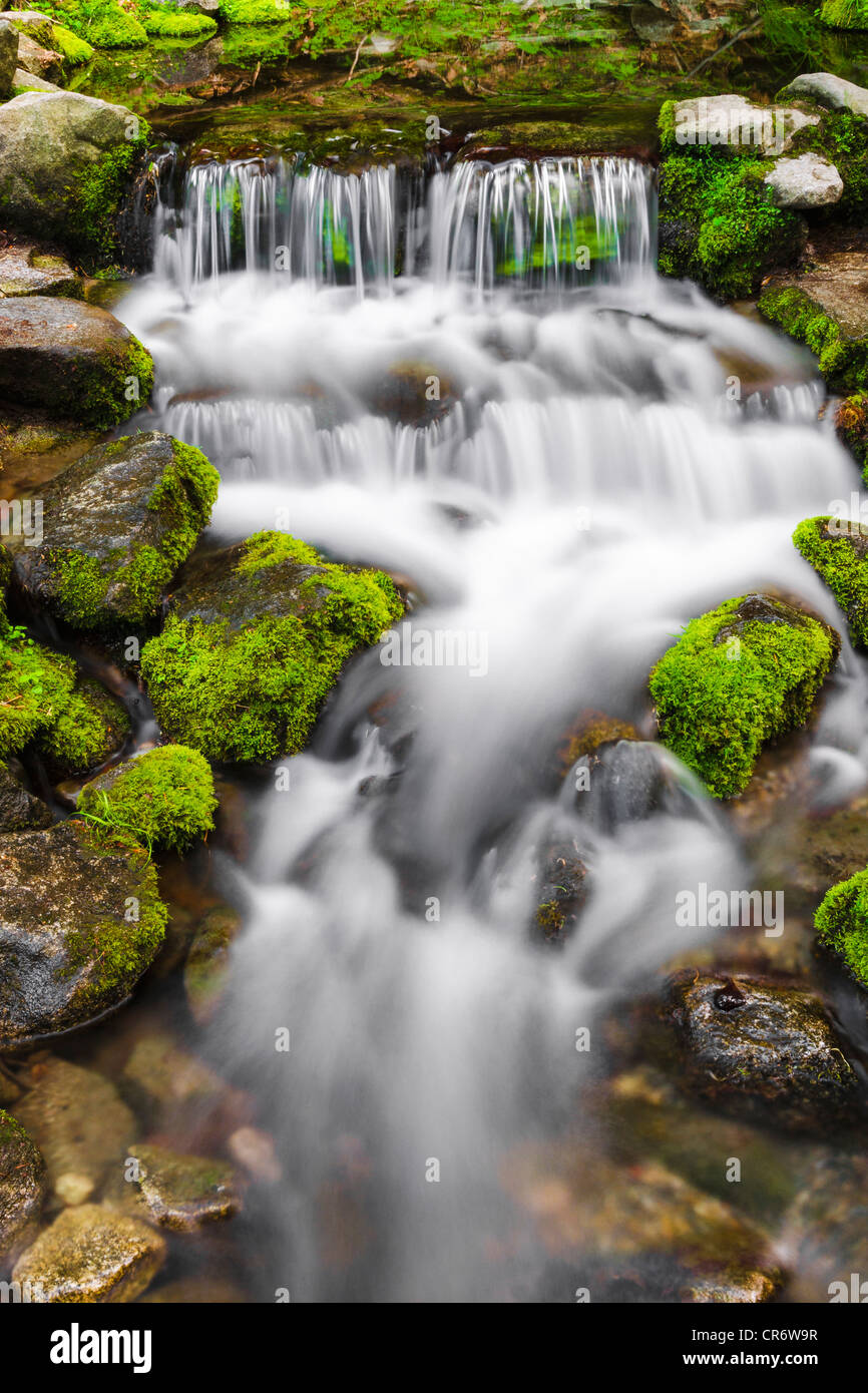Spring yosemite national park hi-res stock photography and images - Alamy