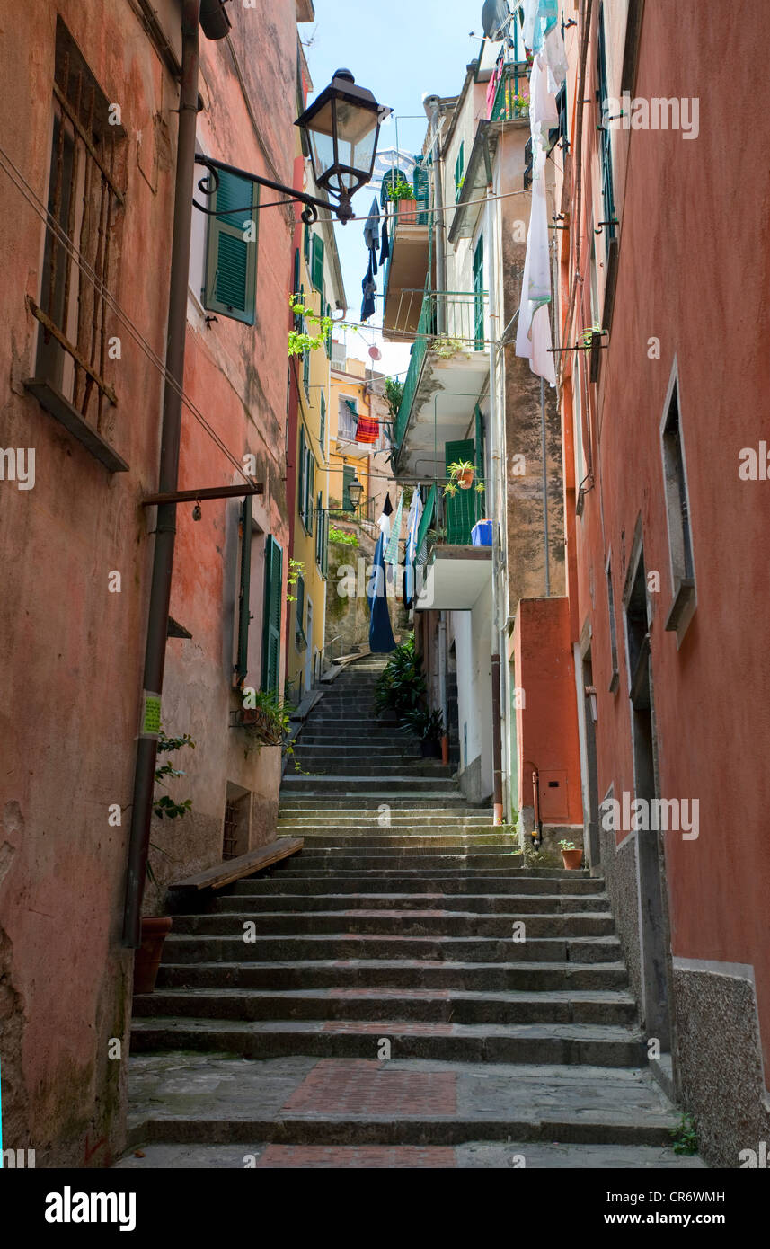 Old Town La Spezia High Resolution Stock Photography and Images - Alamy