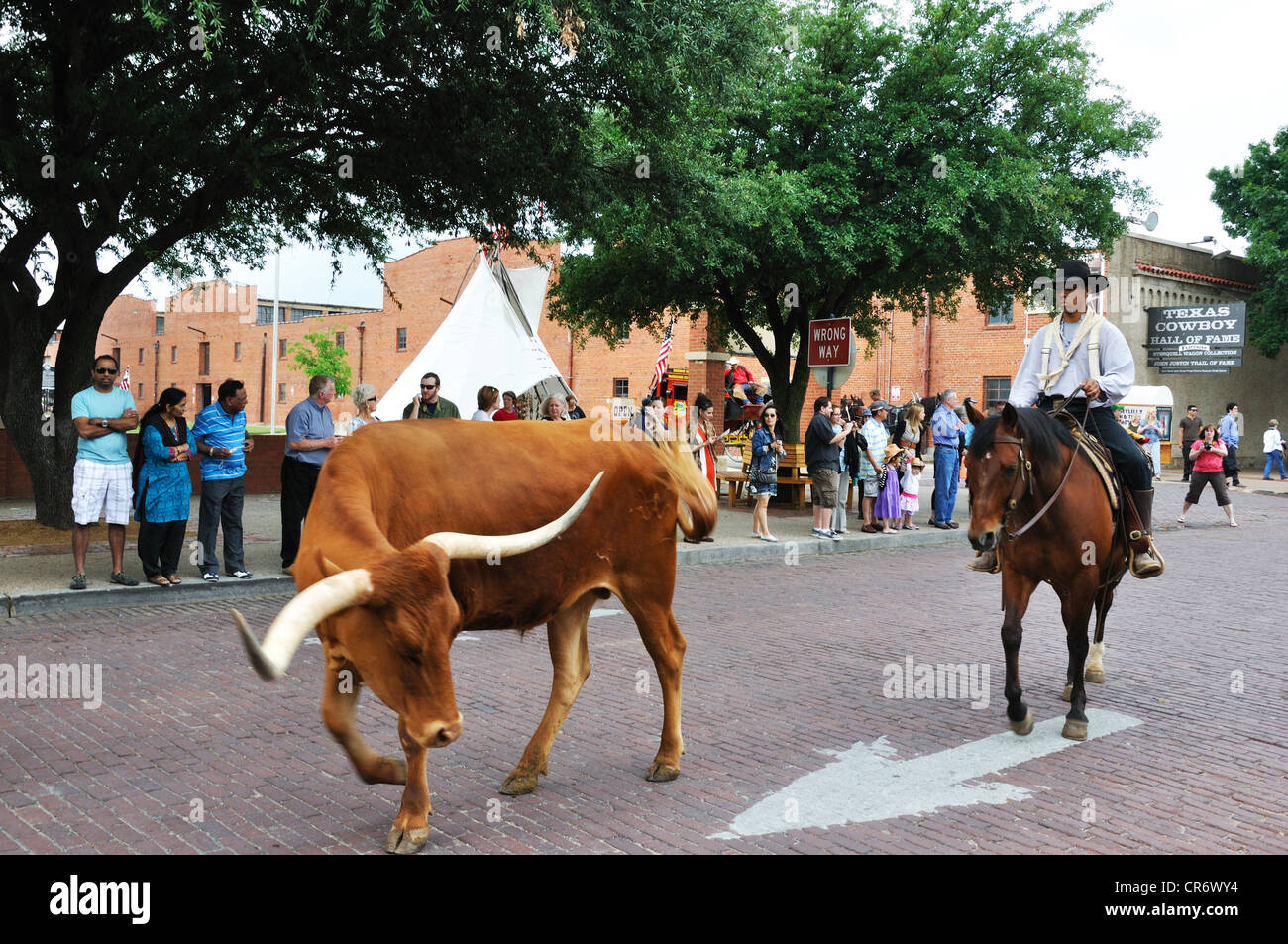 Cattle drive with cowboys at Stockyards in Fort Worth, Texas, USA Stock ...