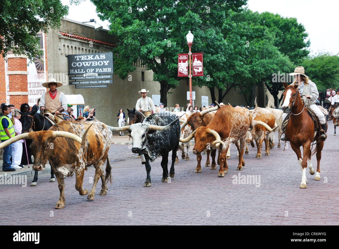 Cattle drive cowboys stockyards in hi-res stock photography and images ...