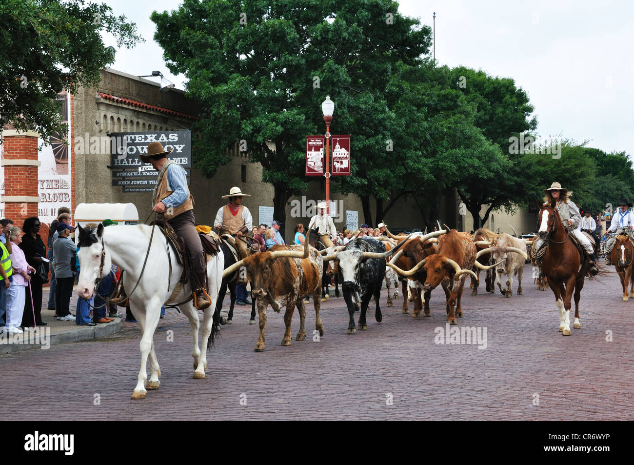 Cattle drive cowboys stockyards in hi-res stock photography and images ...