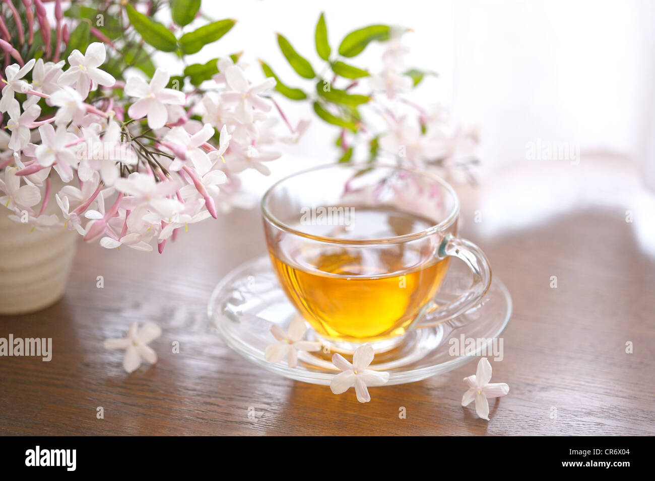 Jasmine tea with flowers Stock Photo - Alamy