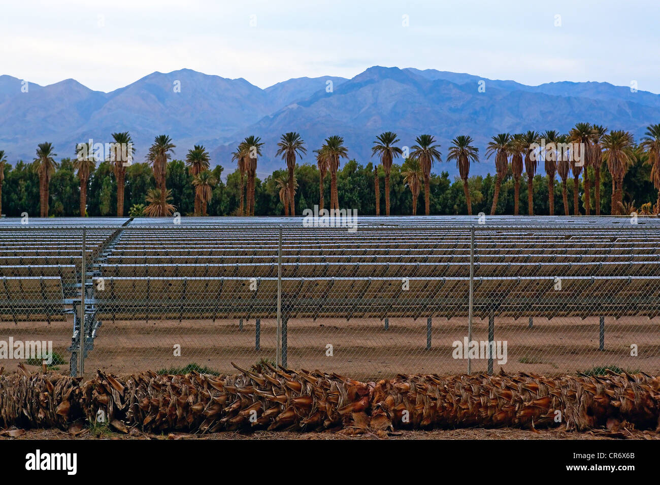 Solar panels palm trees hi-res stock photography and images - Alamy