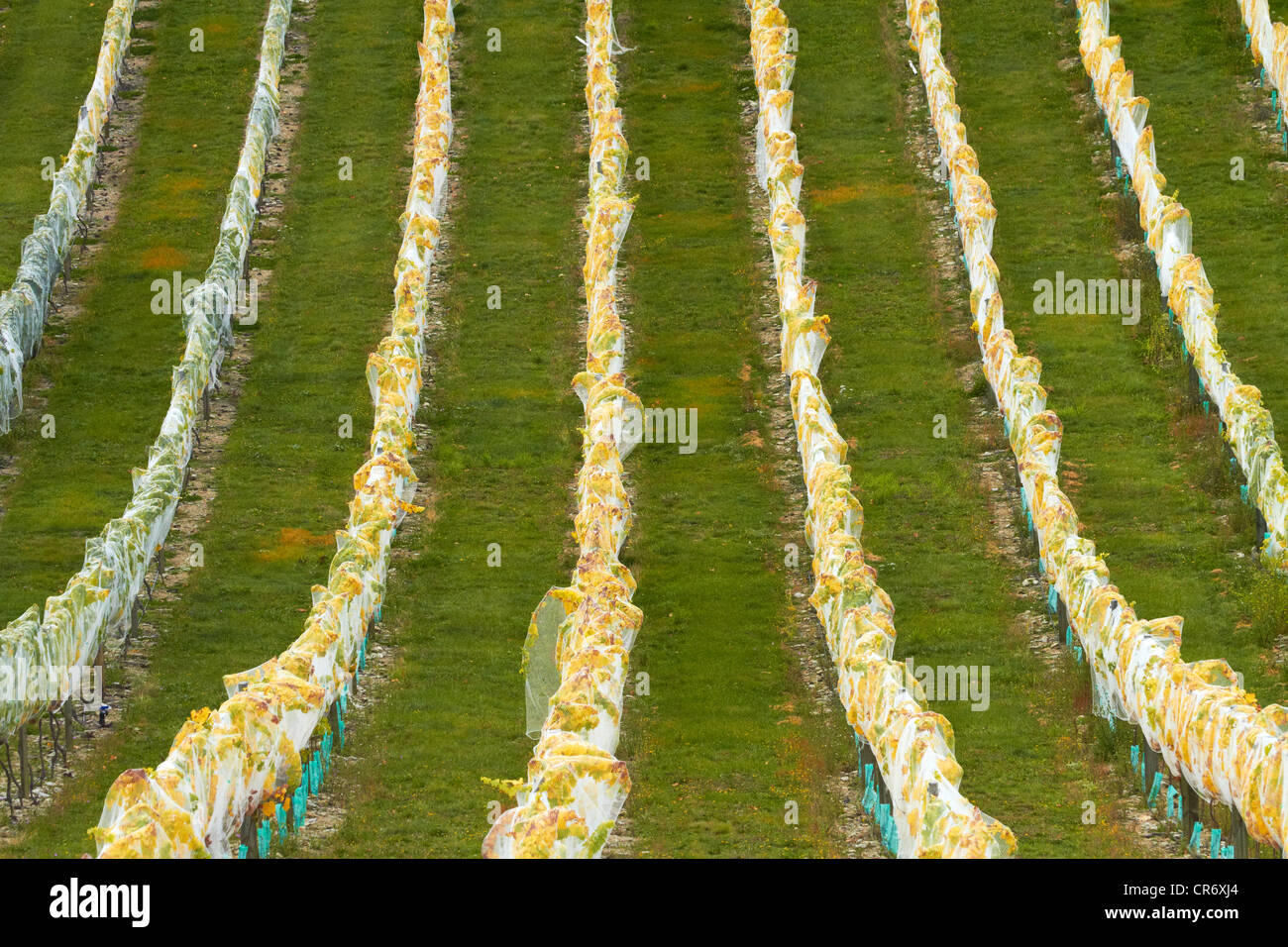 Mount difficulty, new zealand hi-res stock photography and images - Alamy
