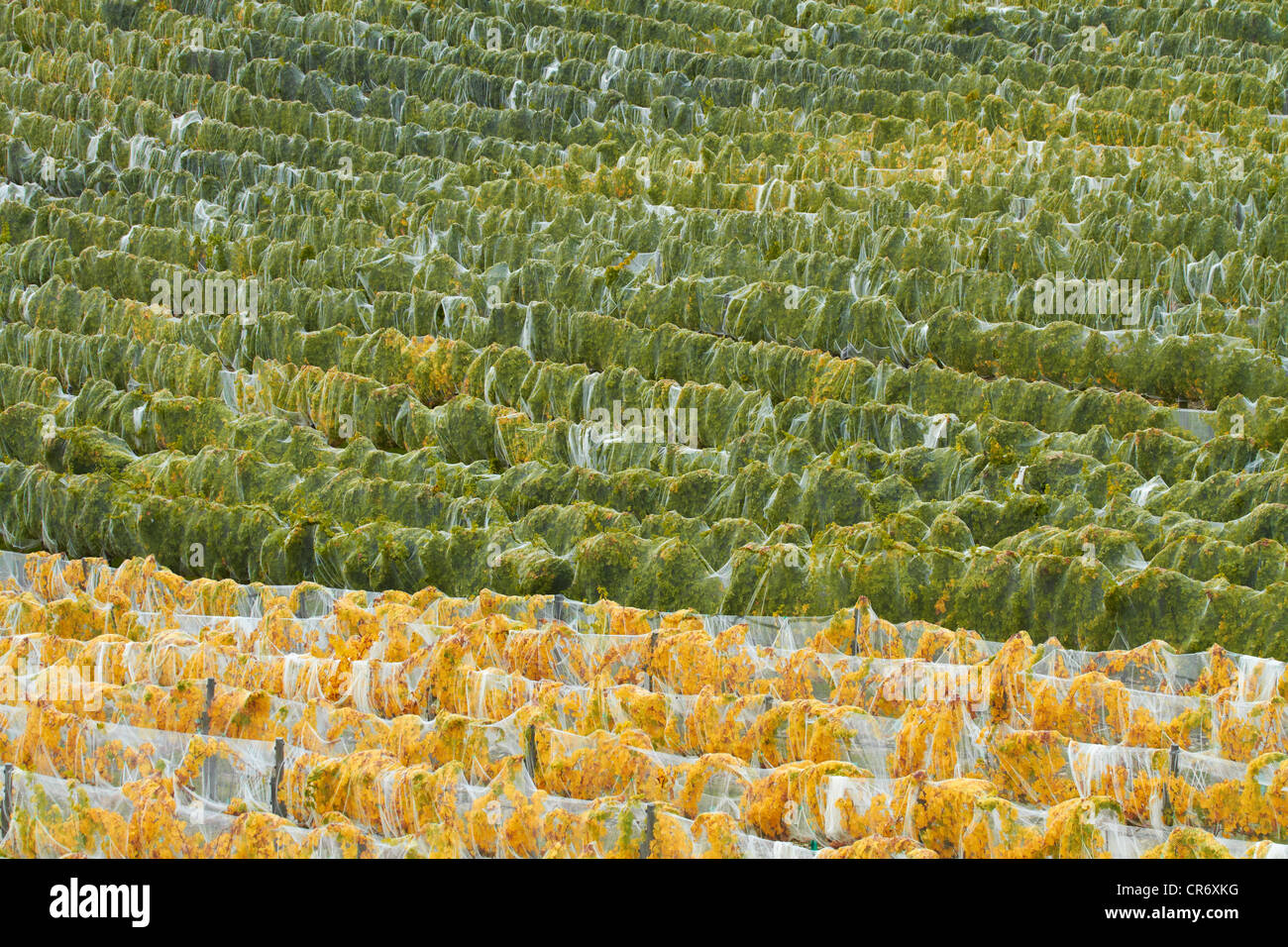 Mount difficulty, new zealand hi-res stock photography and images - Alamy