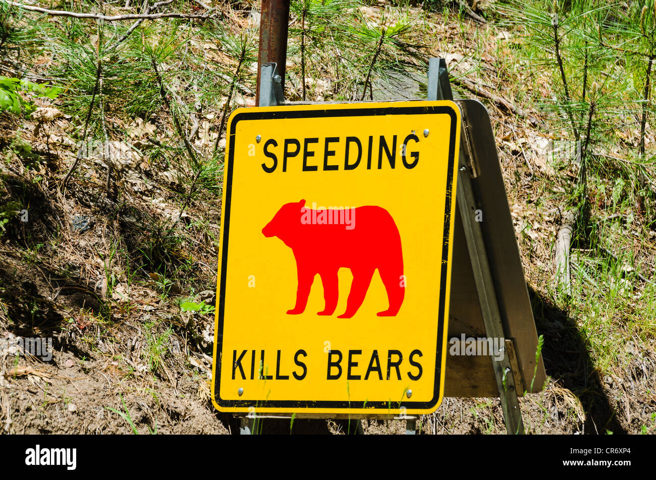 Speed kills road sign hi-res stock photography and images - Alamy