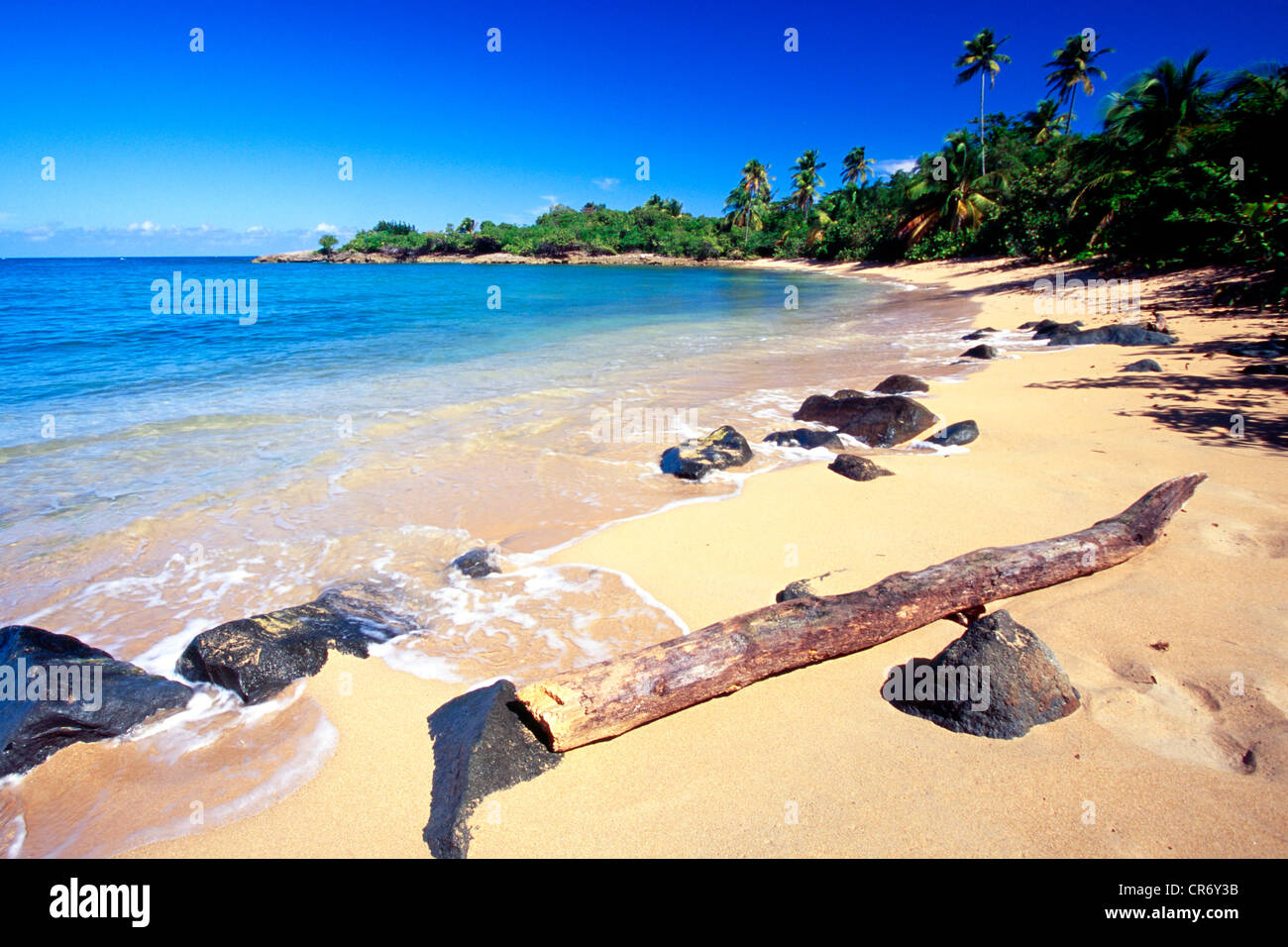 Caribbean Beach, Pinones Nature Preserve, Puerto Rico Stock Photo - Alamy