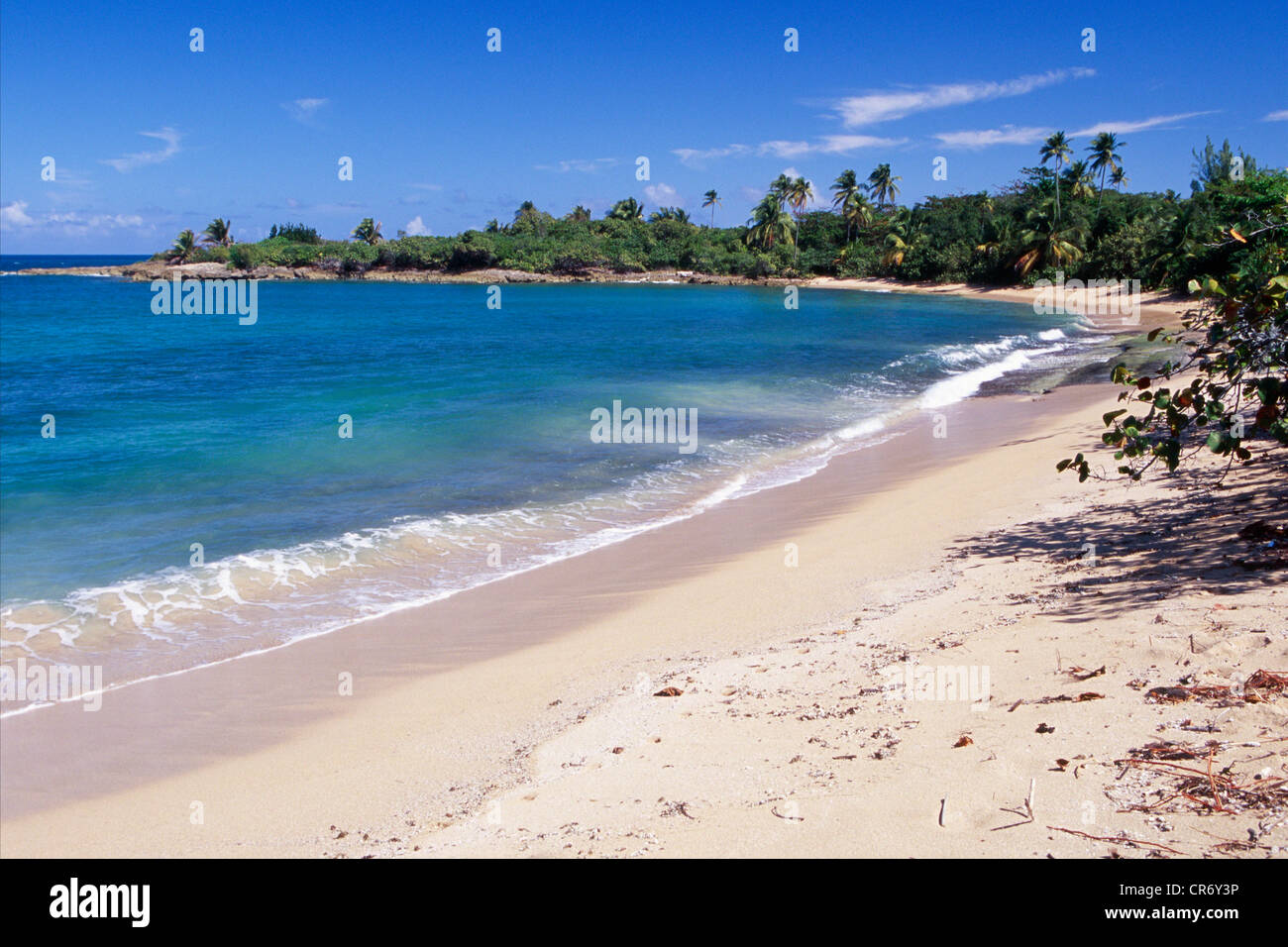 Loiza puerto rico hi-res stock photography and images - Alamy