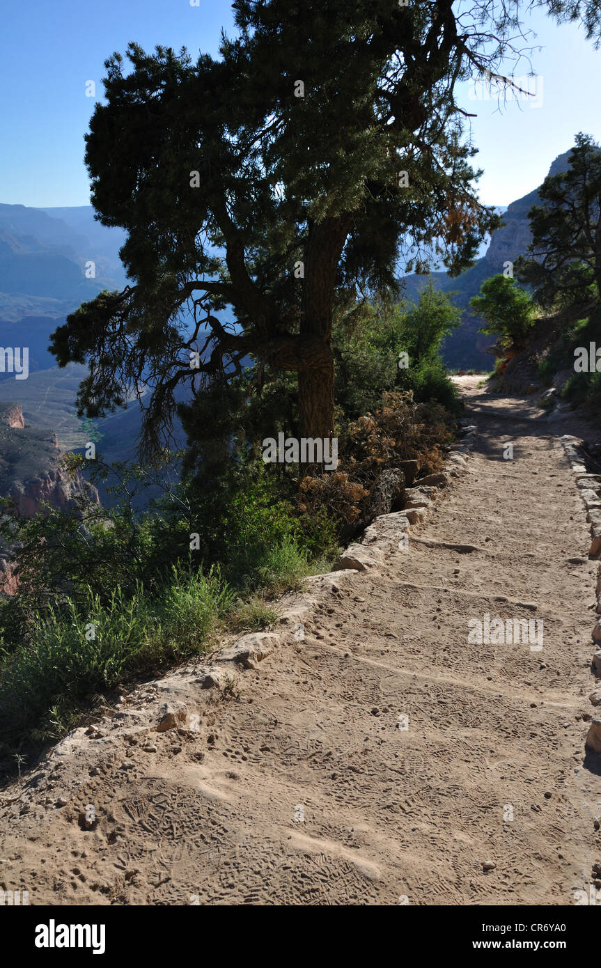Bright Angel trail, Grand Canyon, Arizona, USA Stock Photo - Alamy