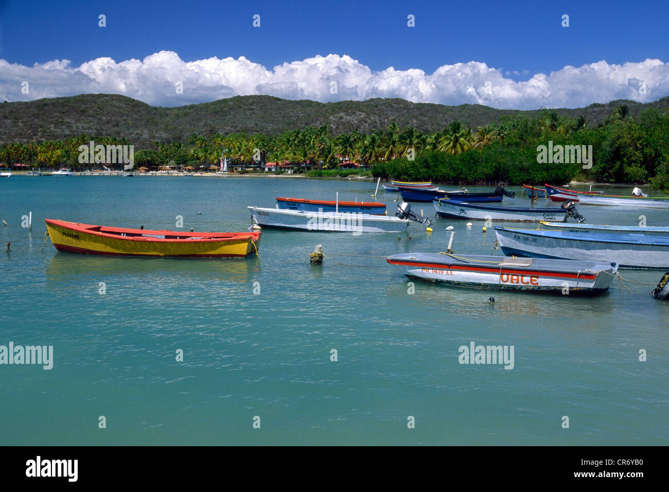 Colorful Fishing Boats Moored in a Bay, Cana Gorda, Guanica, Puerto ...