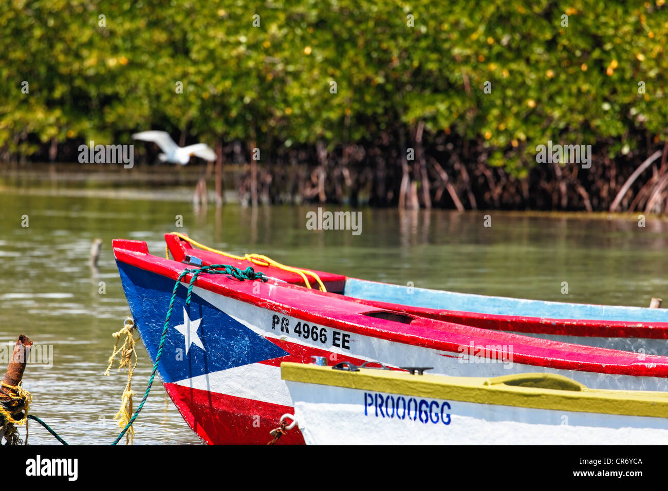 Colorful Traditional Fishing Boats Moored in a Bay, Cana Gorda, Guanica ...