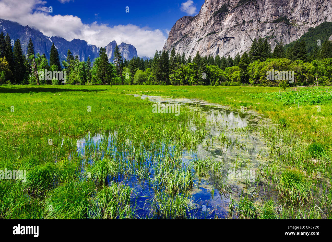 Spring run-off in meadow, Yosemite Valley, Yosemite National Park ...