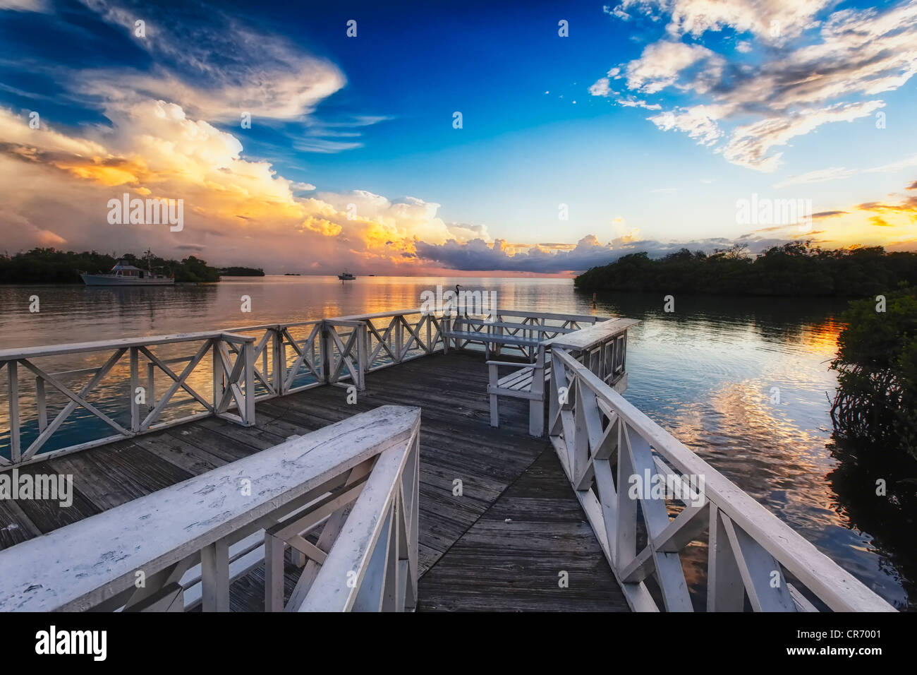 Bioluminescent la parguera puerto rico hi-res stock photography and ...