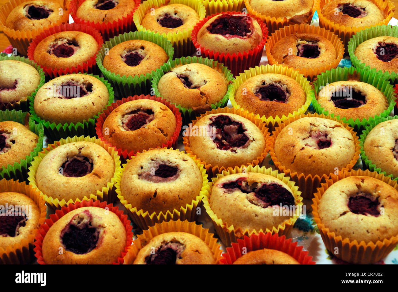 Homemade muffins in small colourful cases Stock Photo - Alamy