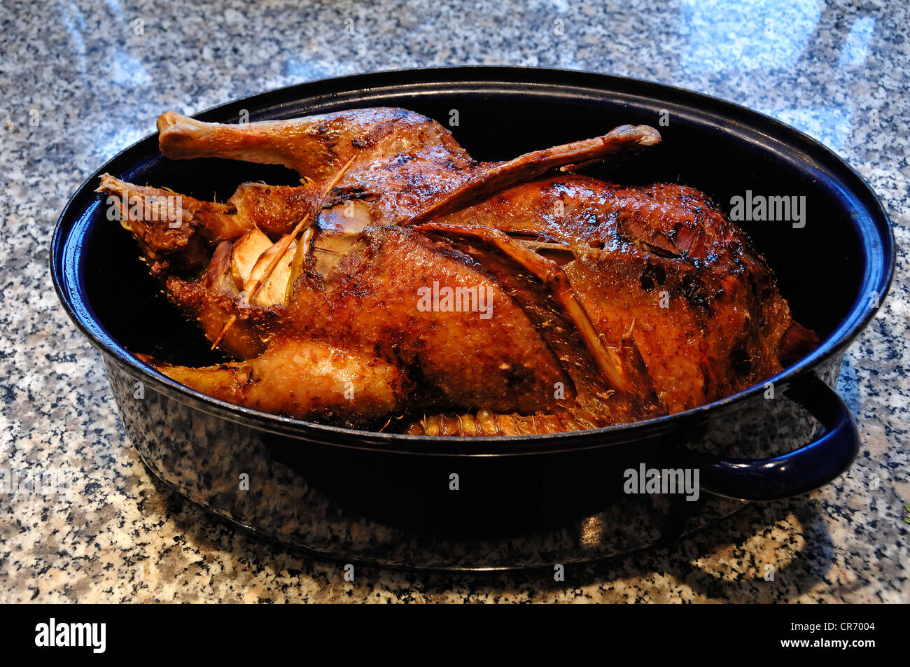 Freshly roasted duck in a casserole, Lueneburg, Lower Saxony, Germany ...
