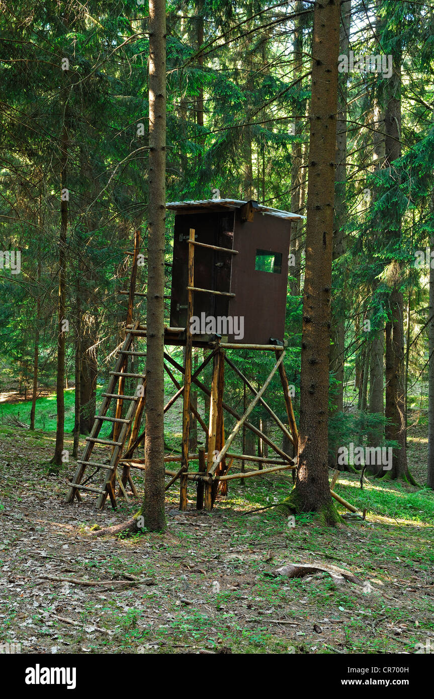 Hunters' raised hide in a forest, Kirchroettenbach, Middle Franconia ...