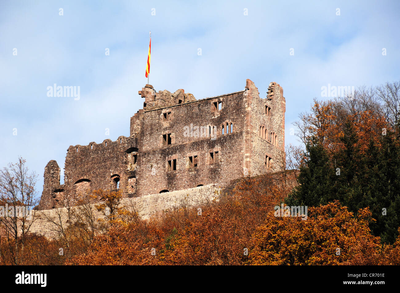 Ruins of Hohengeroldseck Castle, built in 1250, Schlossberg 7, Seelbach ... Ruins of Hohengeroldseck Castle, built in 1250, Schlossberg 7, Seelbach ...