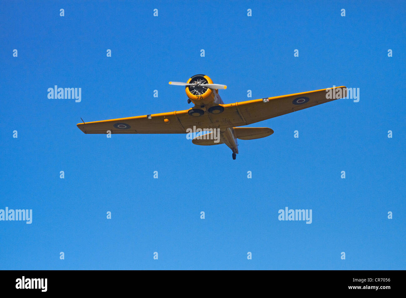 North American Harvard, or T-6 Texan, or SNJ Stock Photo - Alamy