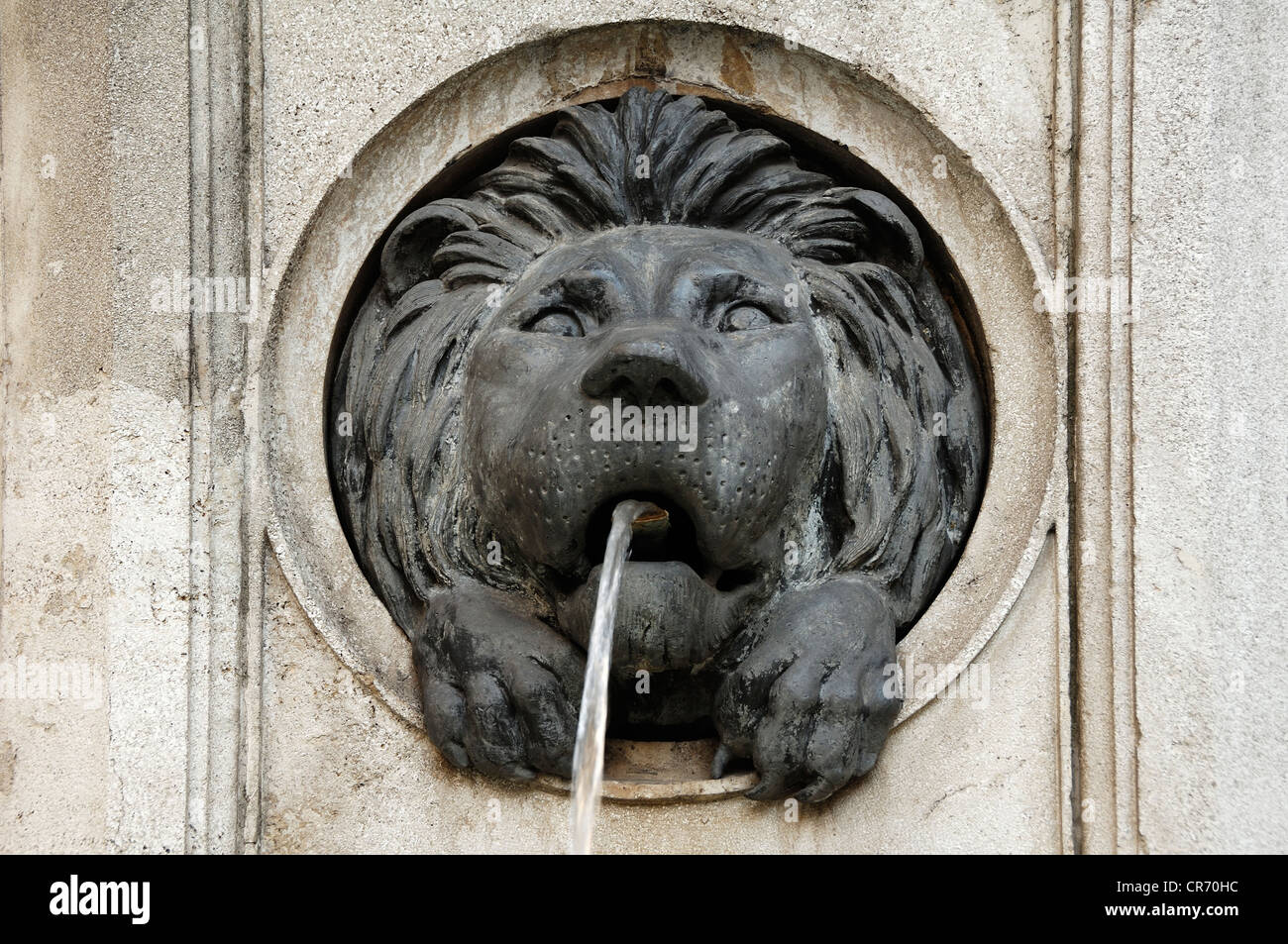 Lions head fountain hi-res stock photography and images - Alamy