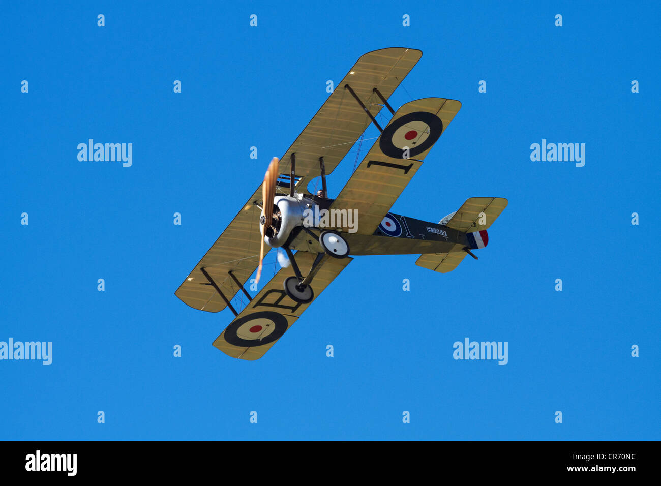 Sopwith camel fighter plane hi-res stock photography and images - Alamy