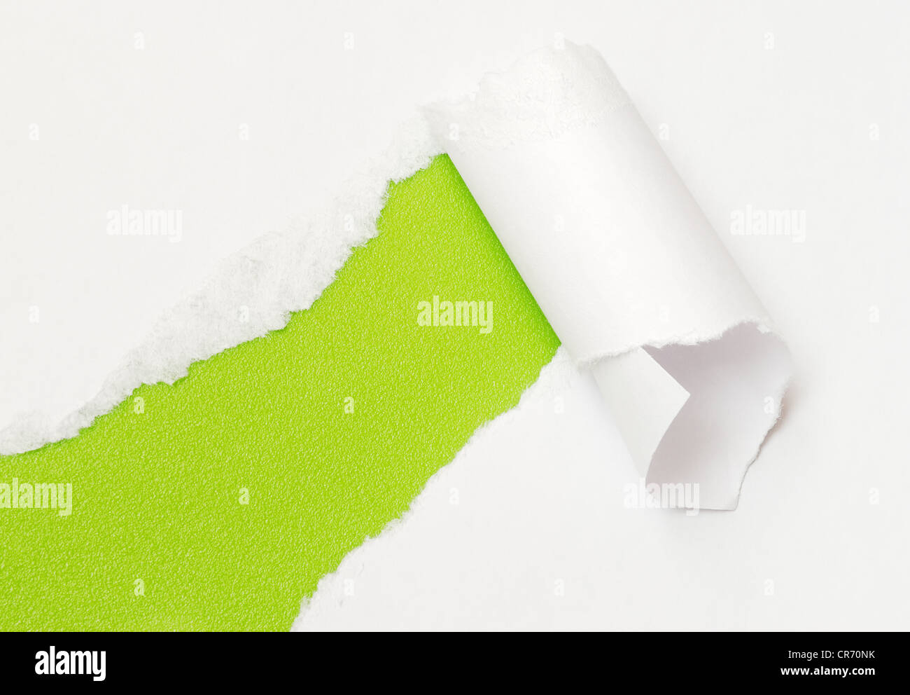 White ripped paper on green background, top view Stock Photo - Alamy